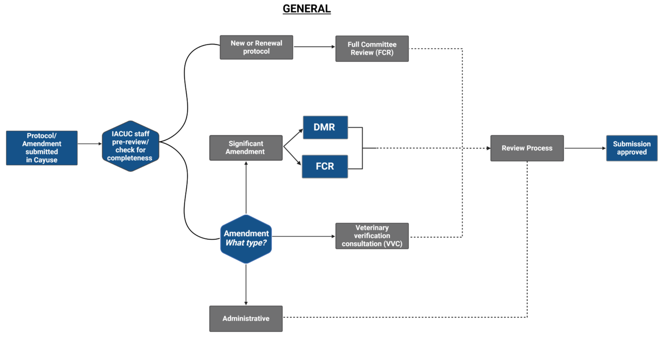 IACUC Review Process - Institutional Animal Care and Use Committee